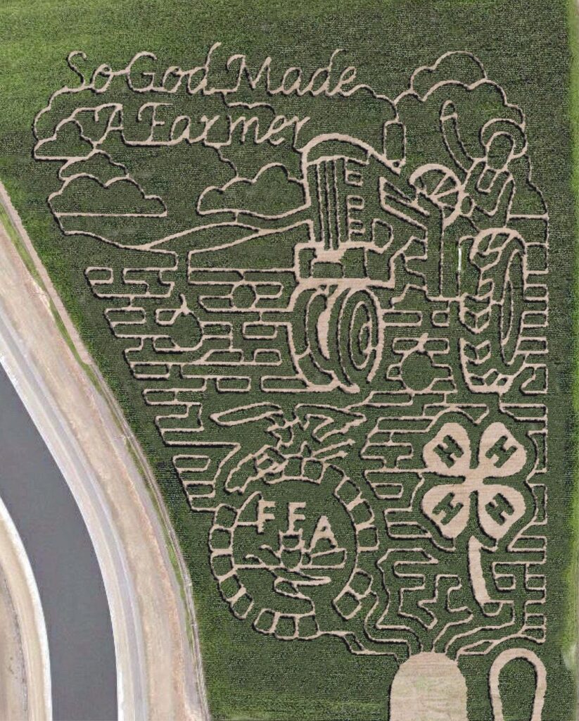 Corn Maze | Corn Maze for Fantozzi Farms